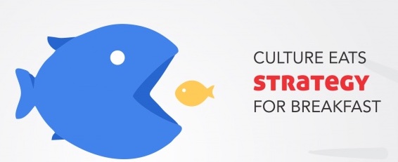 How to build a Software Engineering Culture? – Design Nutcracker